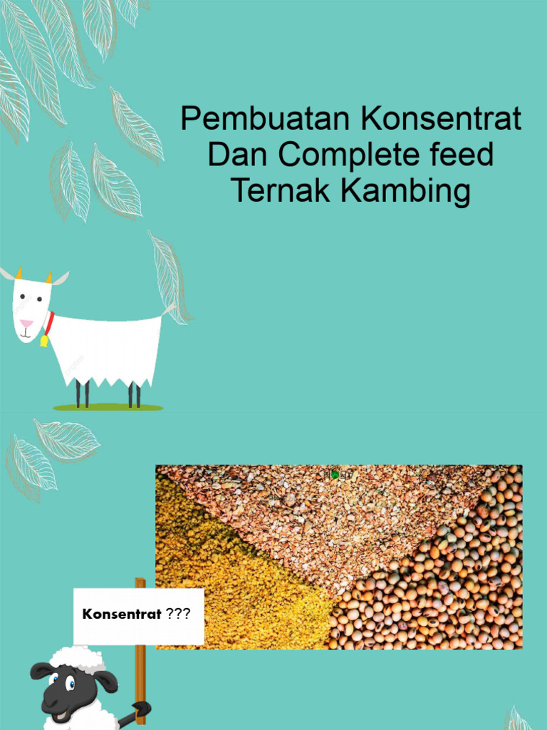 Konsentrat kambing | PDF