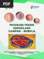 Petunjuk Teknis Surveilans Kipi Tahun 2024 (Final) | PDF