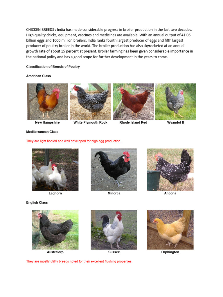 Breed Data | PDF | Cooking, Food & Wine