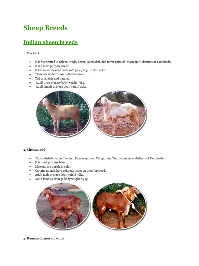 Goat and Sheep Breed Data | PDF