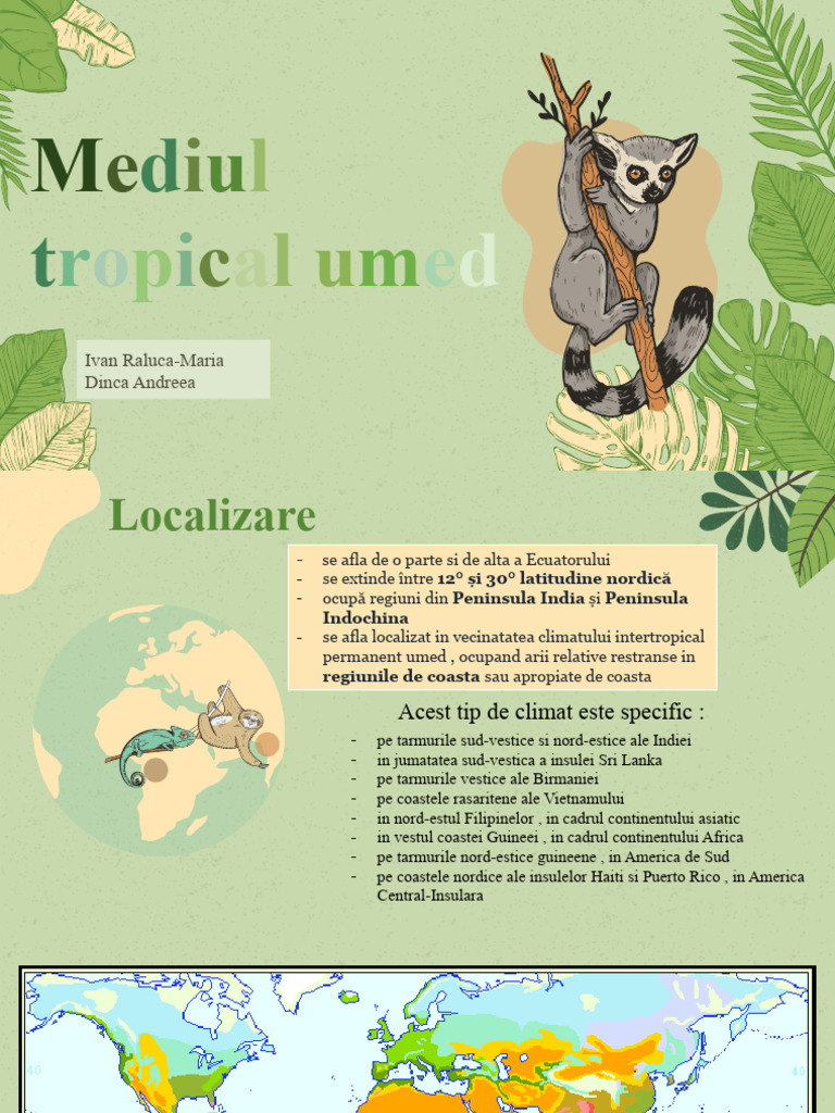 Mediul Musonic | PDF