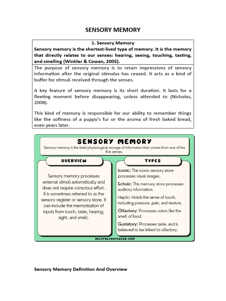 1 Sensory Memory | Download Free PDF | Perception | Senses