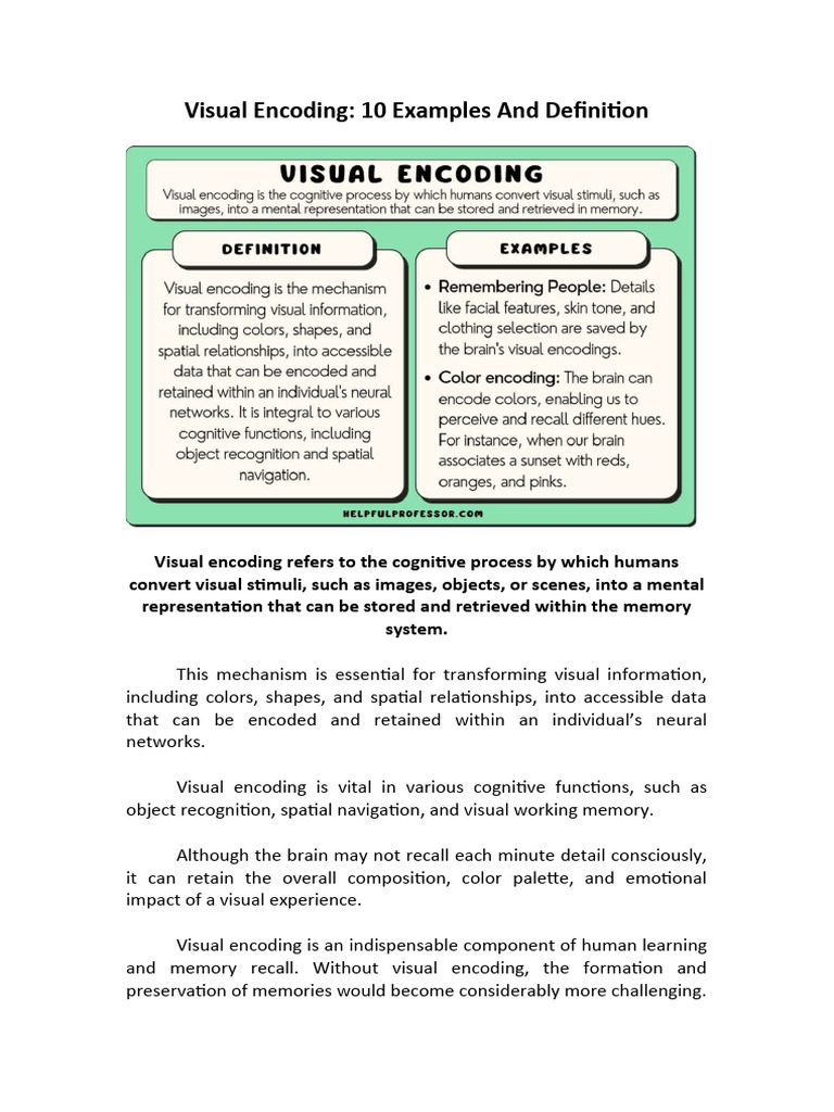 1a Visual Encoding | PDF | Memory | Information