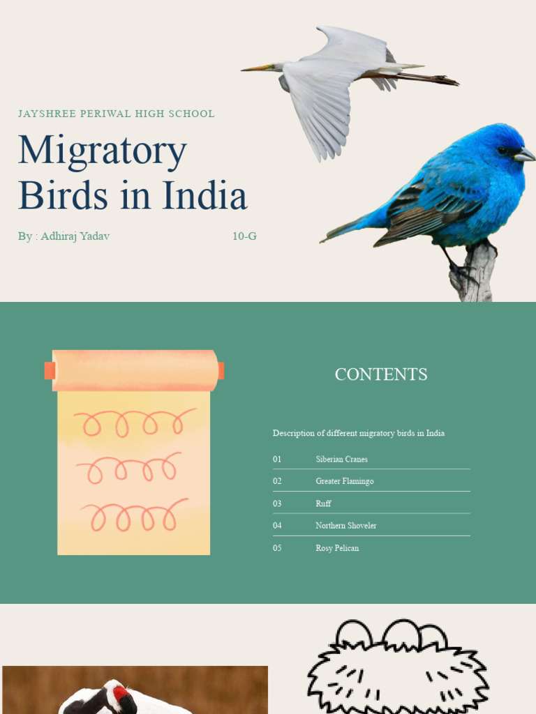 Migratory Birds in India | PDF