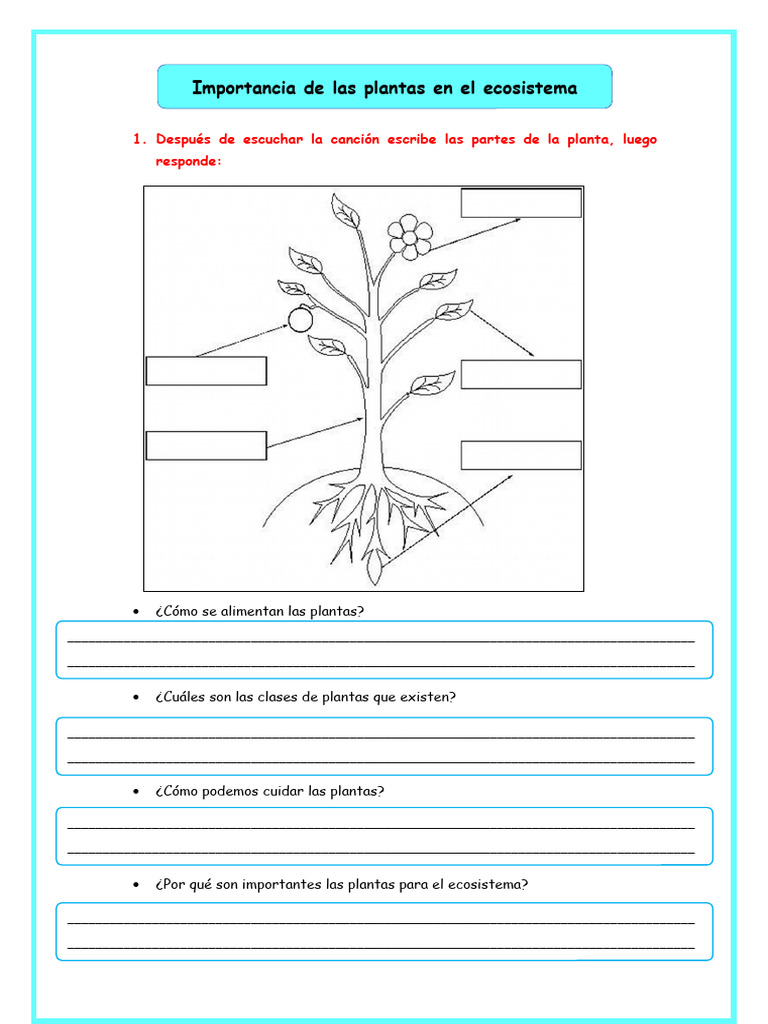 Ficha Jue 21 Cyt Importancia de Las Plantas | PDF