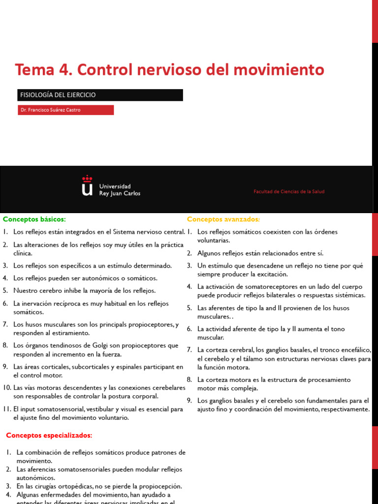 Tema 4 Control Nervioso Del Movimiento | PDF | Cerebro | Músculo esquelético