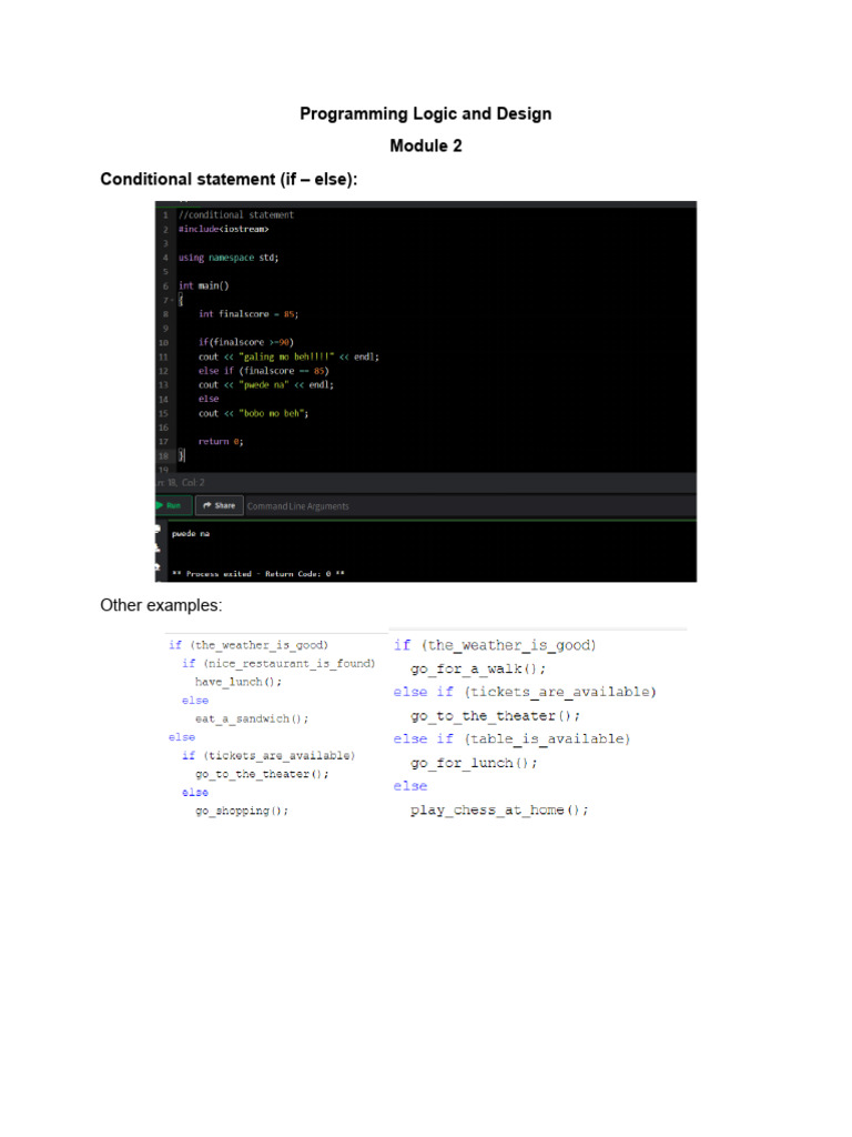 C++ Conditional Logic and Loops | PDF