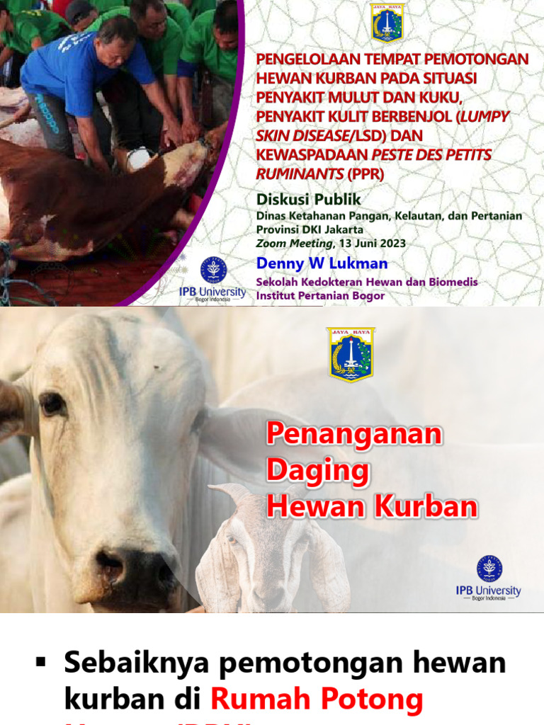 Penyelenggaraan Tempat Pemotongan Hewan Kurban Serta Penanganan Daging ...