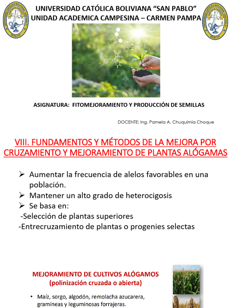 Fitomejoramiento - Clases MET. PLANTAS ALOGAMAS | PDF