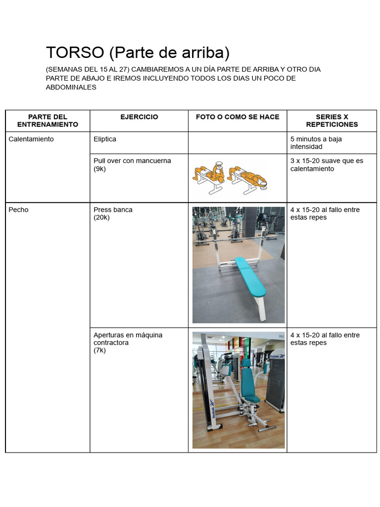 Torso Completo | PDF
