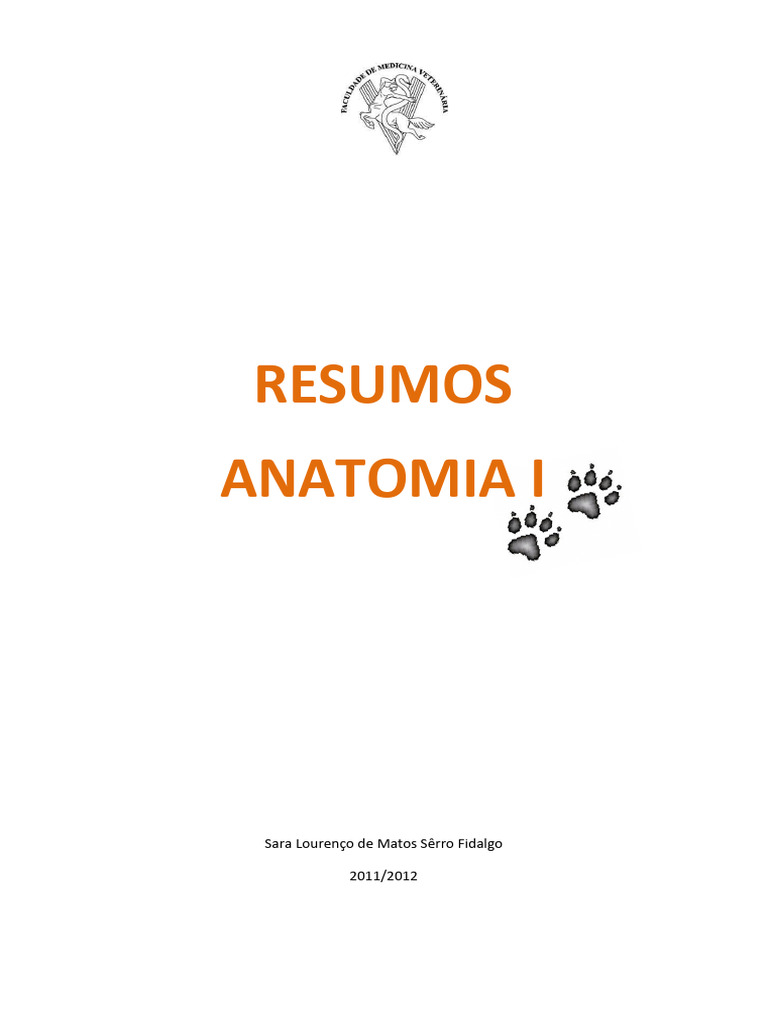 Anatomia I Resumos Teoria Pdf Anatomia Espécies