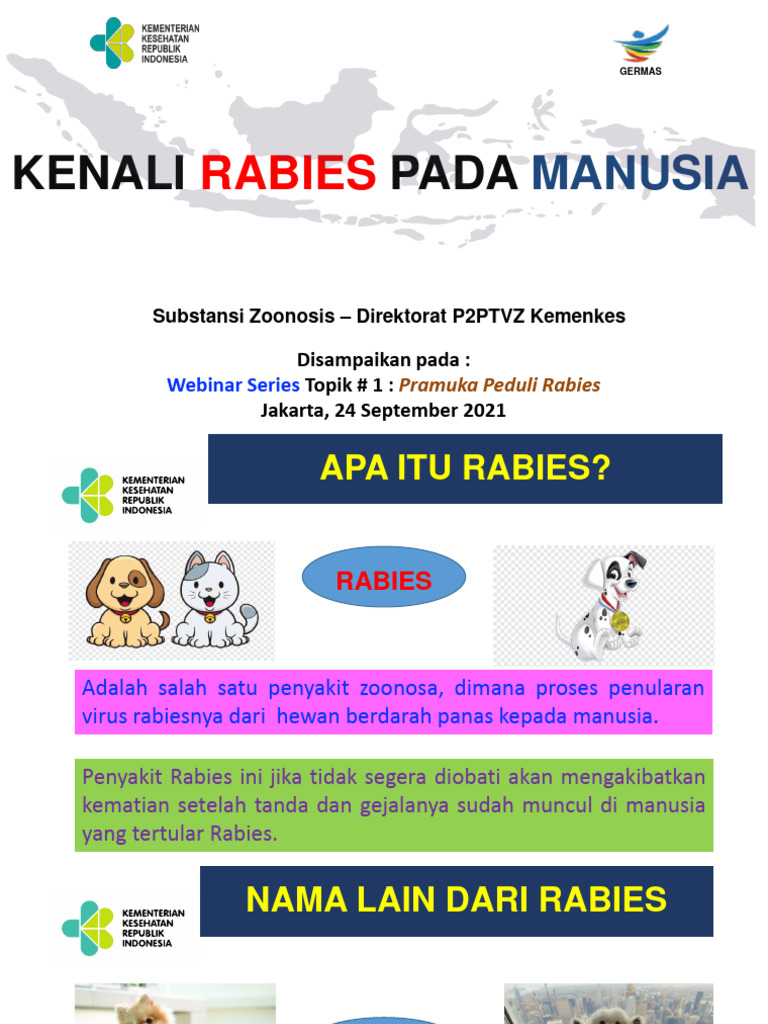 Pramuka Peduli Rabies | PDF