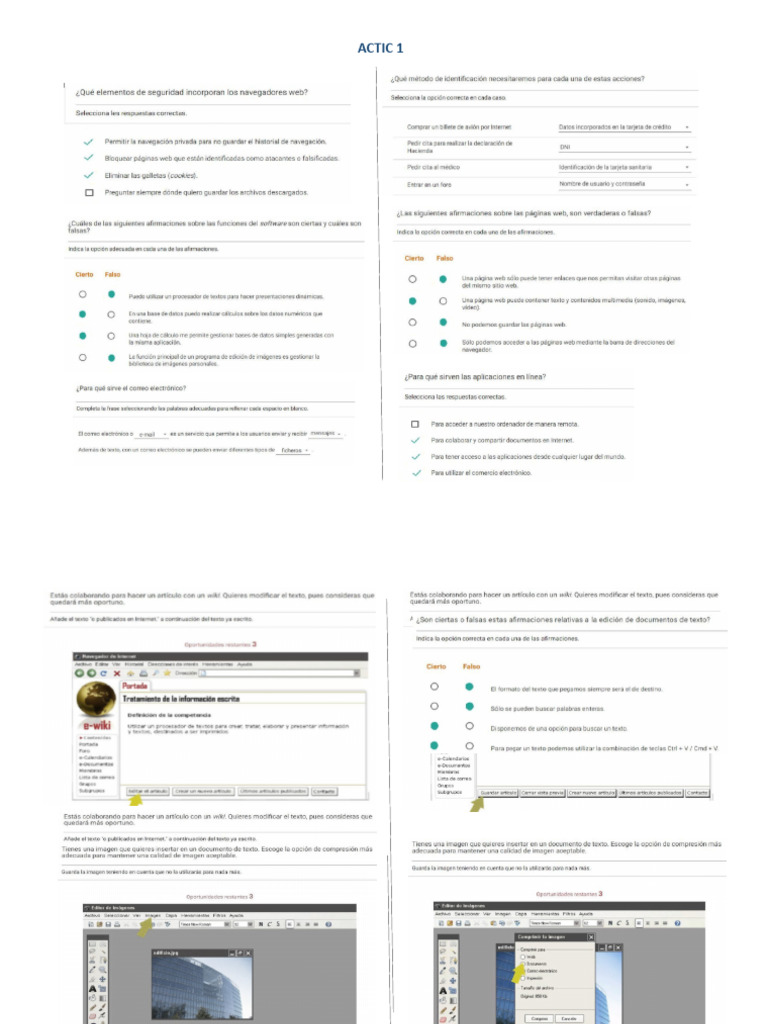 Pruebas de Actic | PDF