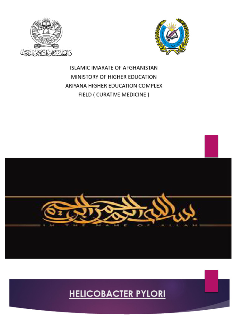 Presentation 2 | PDF