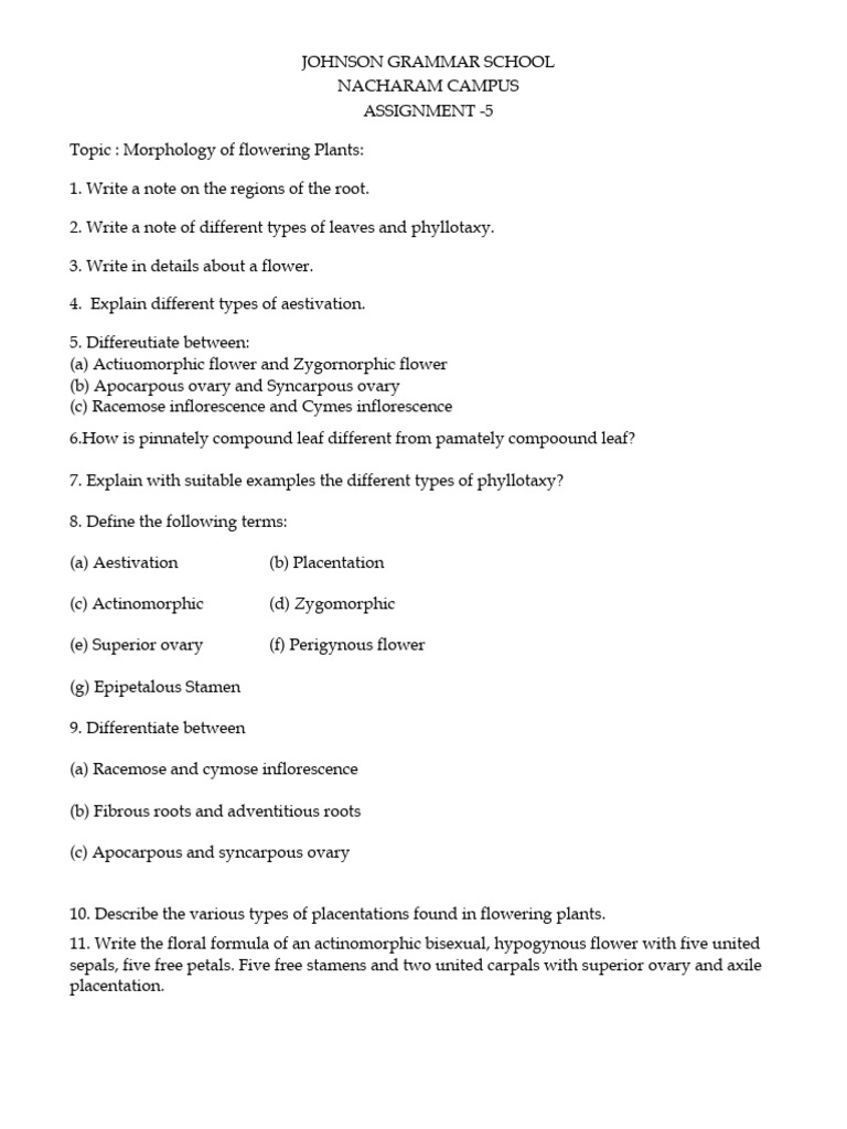 Morphology of Flowering Plants Assignment | PDF