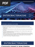 LF and NLF Bacteria in Enterobacteriaceae | PDF