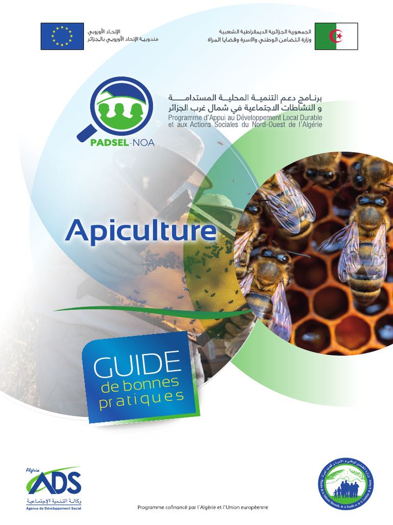 Guide Apiculture | PDF