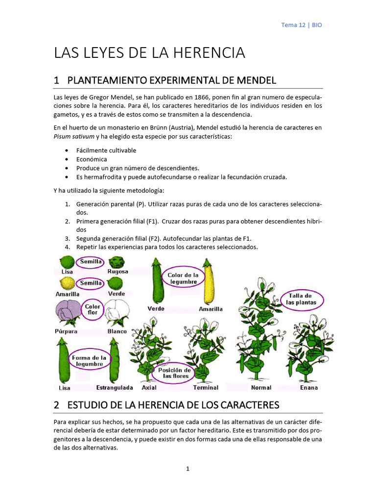 Las Leyes de La Herencia | PDF