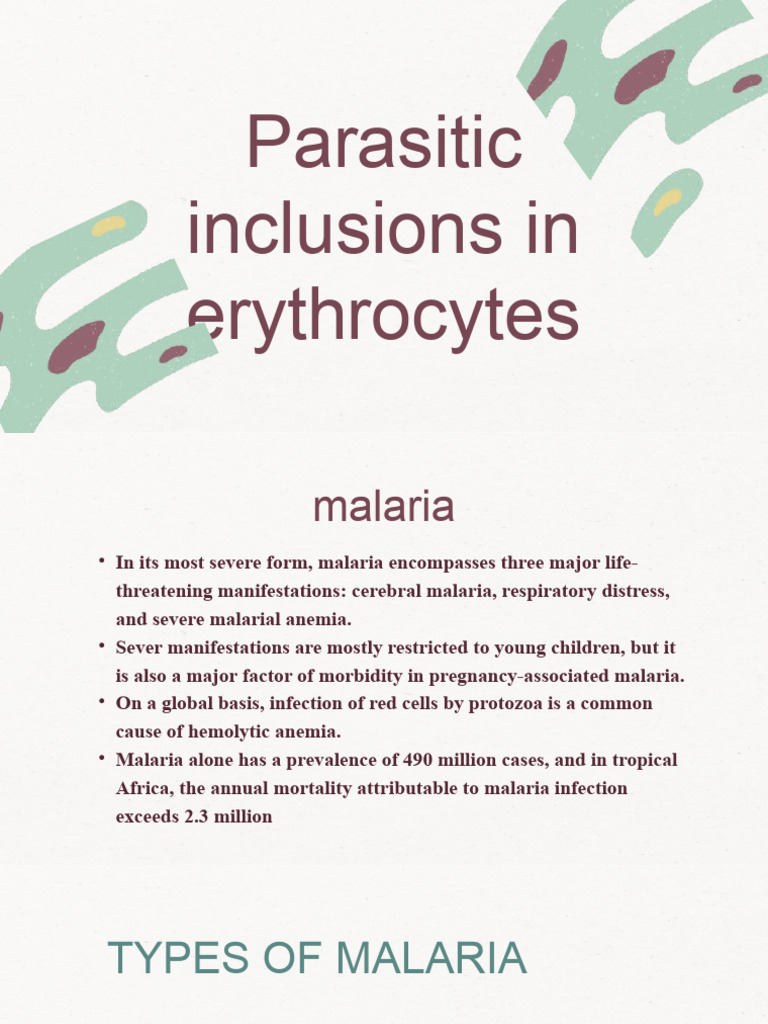 Malaria: Erythrocytic Inclusions Overview | PDF | Plasmodium Falciparum ...