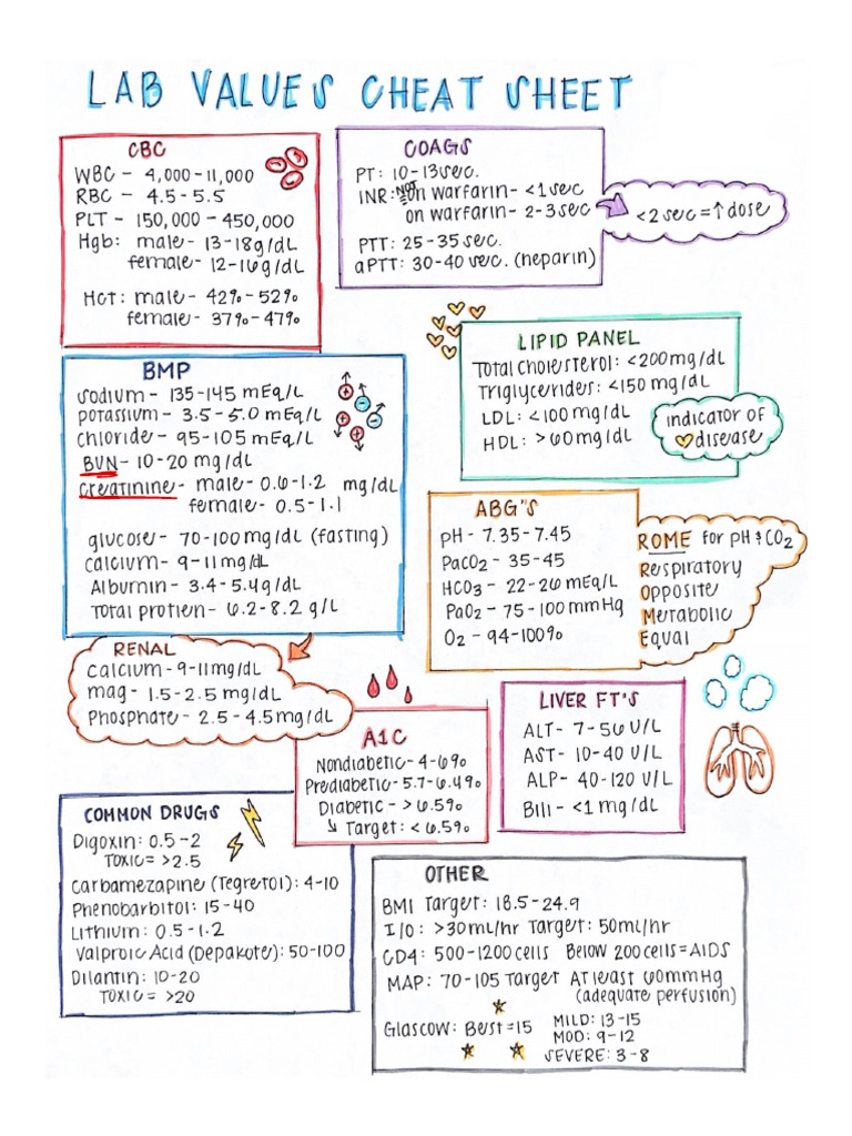 Nursing Study Guide | PDF