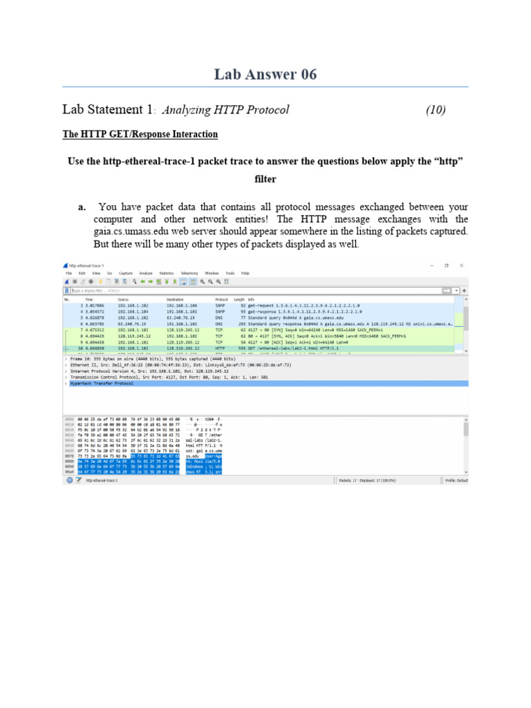 Computer Networking Lab Pdf Networking Internet And Web