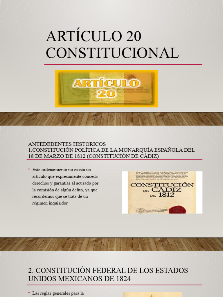 Artículo 20 Constitucional | PDF