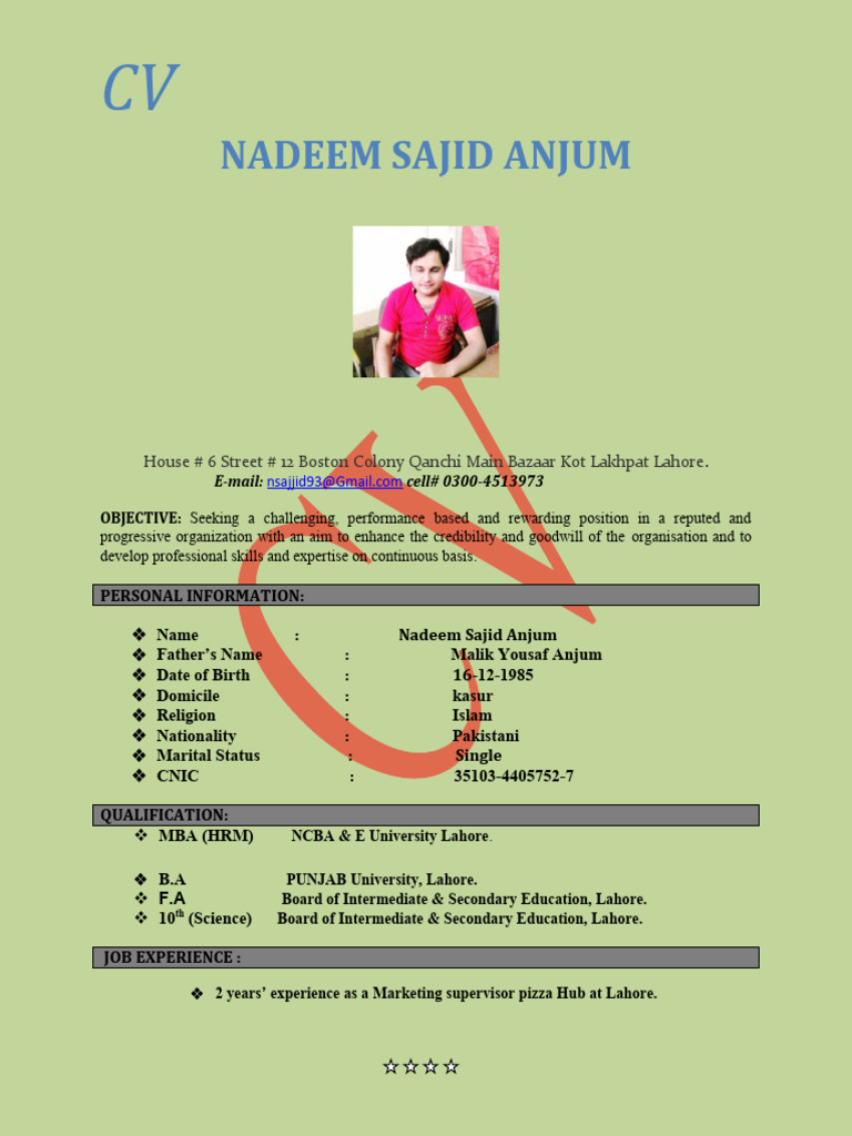 CV of NADEEM | PDF