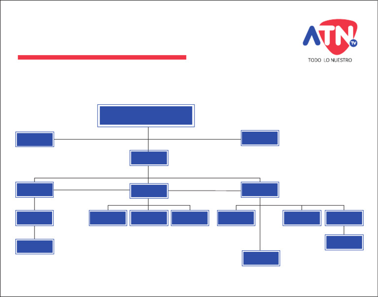 Organigrama ATN | PDF