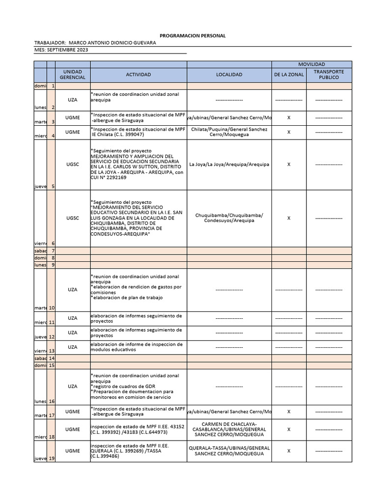Formato - Prog Personal1 Octubre 23 (Propuesta) | PDF