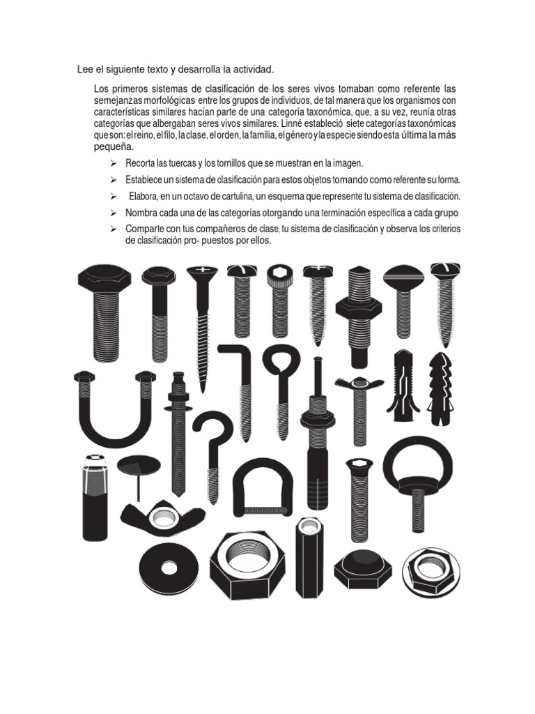 Taxonomia Actividad 6 | PDF
