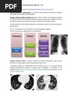 Anatomia de Via Aerea Inferior | PDF | Pulmón | Anatomía