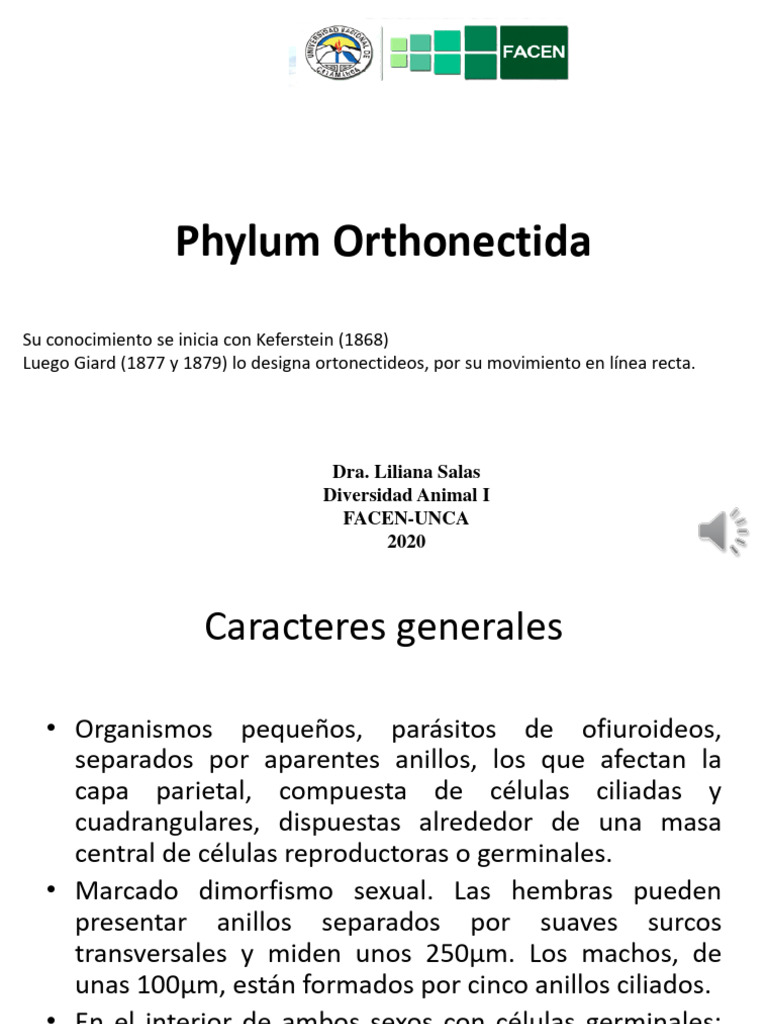 Phylum Orthonectida | PDF | Sexo | Sistema reproductivo