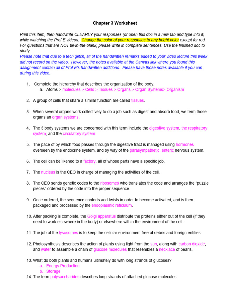 Chapter 3 Worksheet | PDF | Cellular Respiration | Small Intestine