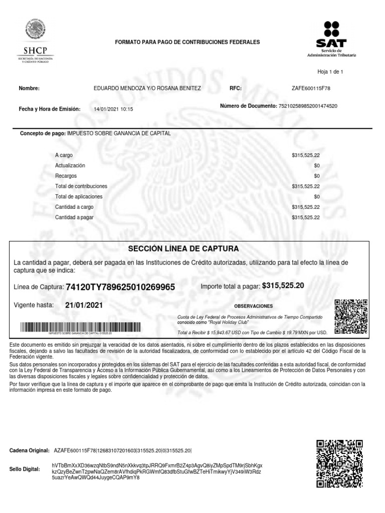 001c. SAT Invoice | PDF