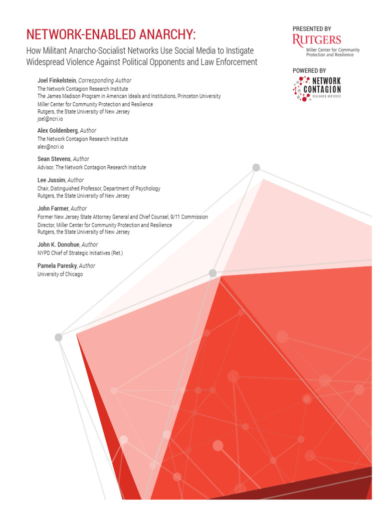 NCRI White Paper Network Enabled Anarchy | PDF