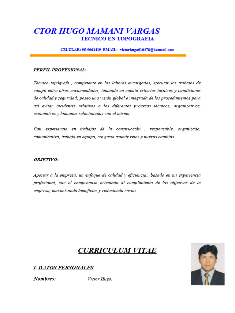 Ctor Hugo Mamani Vargas: Curriculum Vitae | PDF | Negocios