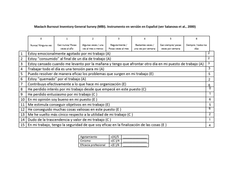 MBI Maslach Burnout Inventory General Survey Rev Felicidad | PDF ...