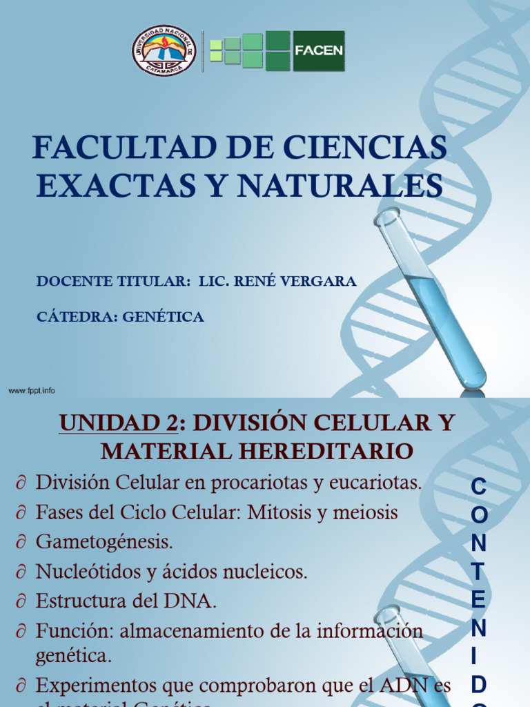 Unidad #2 CICLO CELULAR | PDF | Mitosis | Mitosis