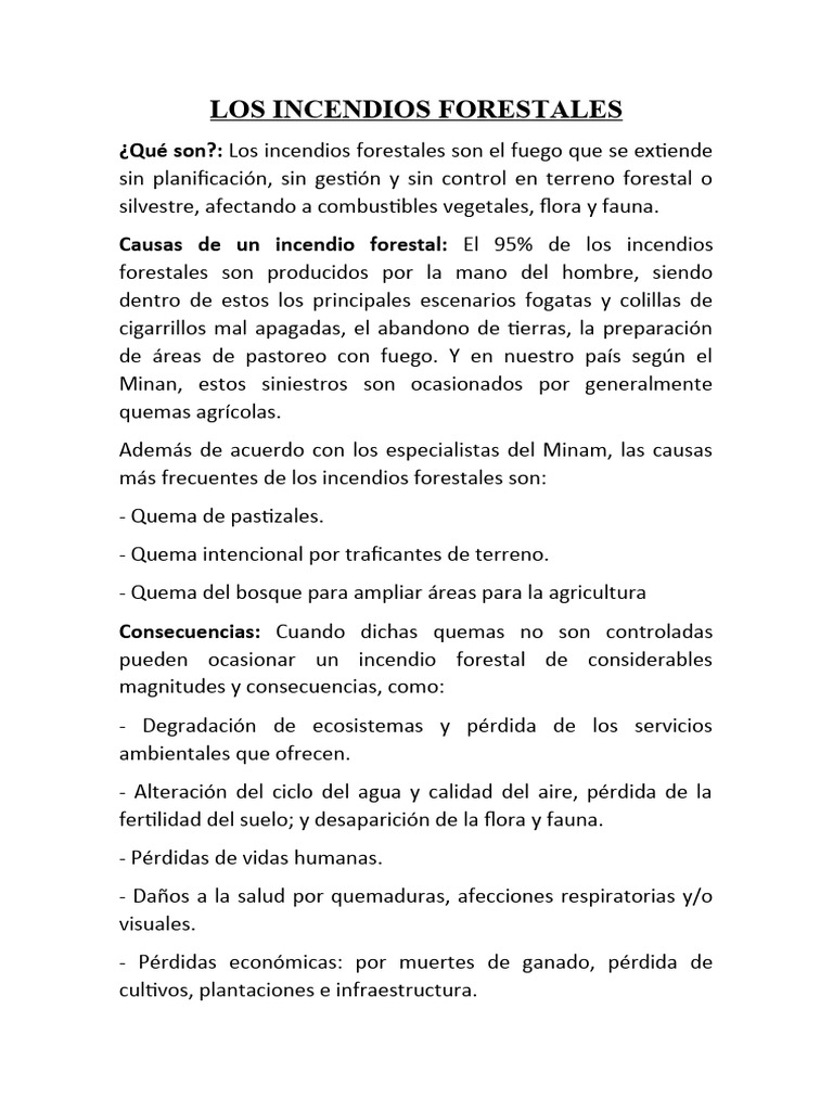 Grupo 1 - Los Incendios Forestales | PDF | Fuego fatuo | Los bosques