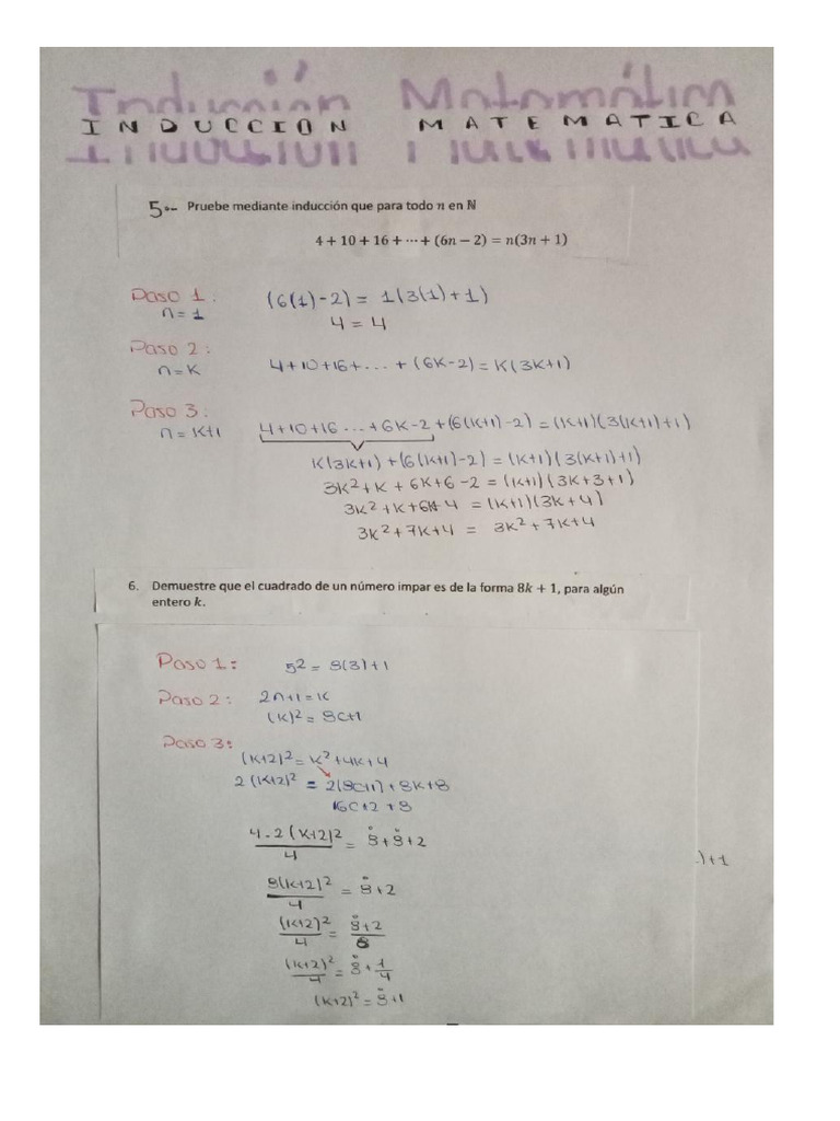 Desarrollo Logica Matematica | PDF