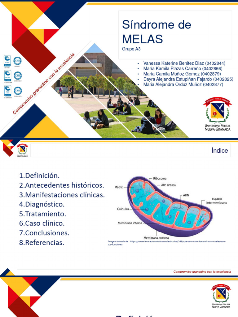 Síndrome MELAS: Definición y Tratamiento | PDF | Epilepsia | Adn ...