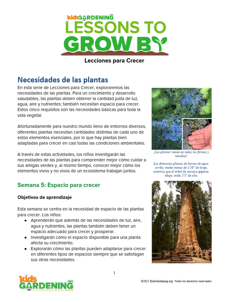 Planta Necesidades Semana 5 Espacio Crecer | PDF | Hidroponia | Plantas