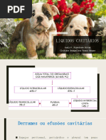 Bula Atensina 0100mg Com 30 Comprimidos Boehringer 103 | PDF ...