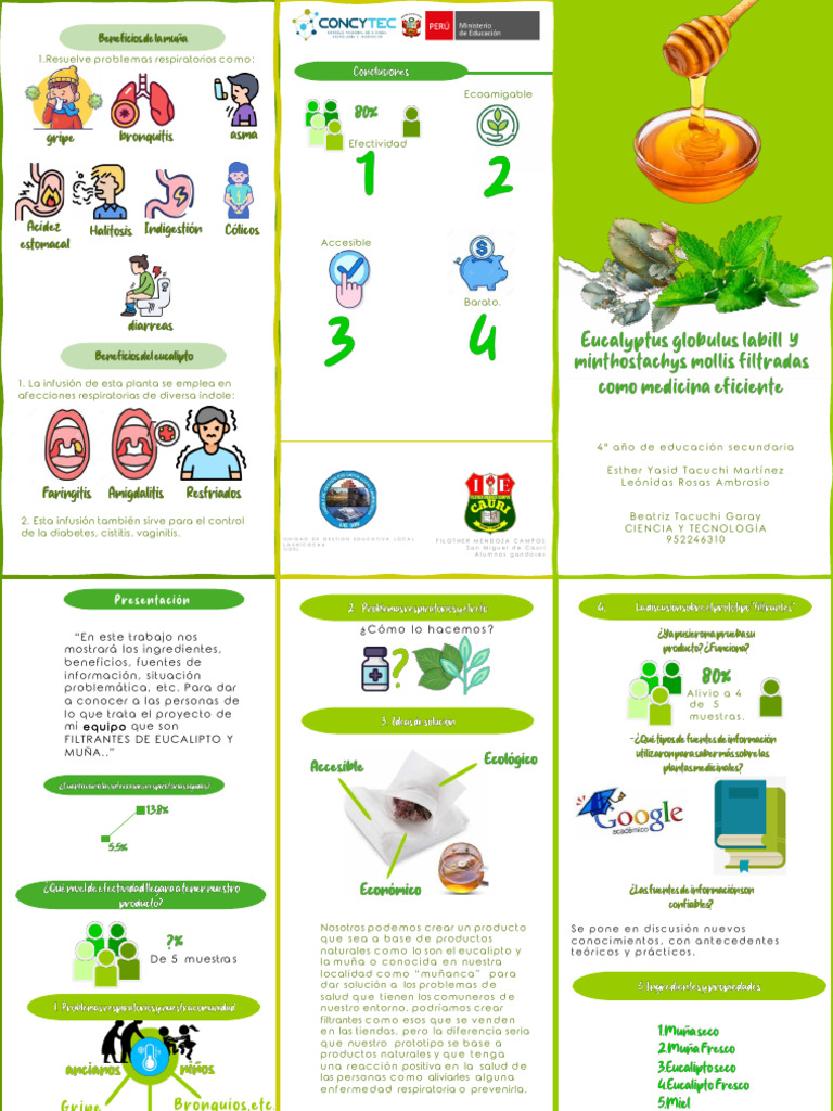 Triptico Eureka | PDF