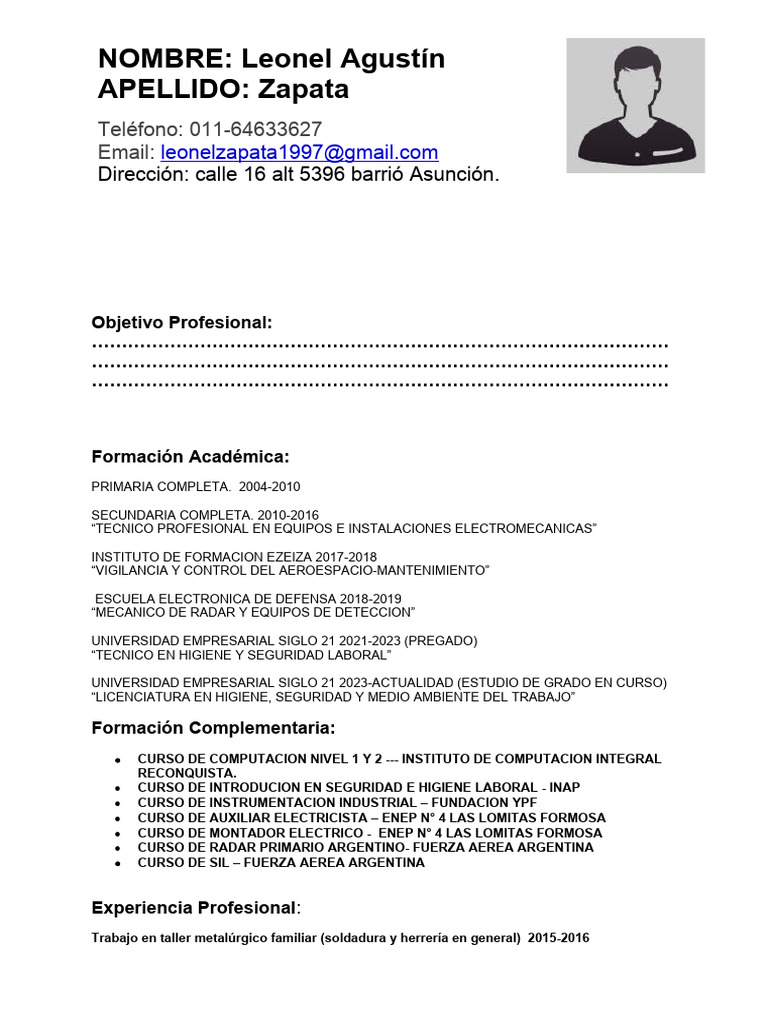 Curriculum Vitae Cronologico | PDF