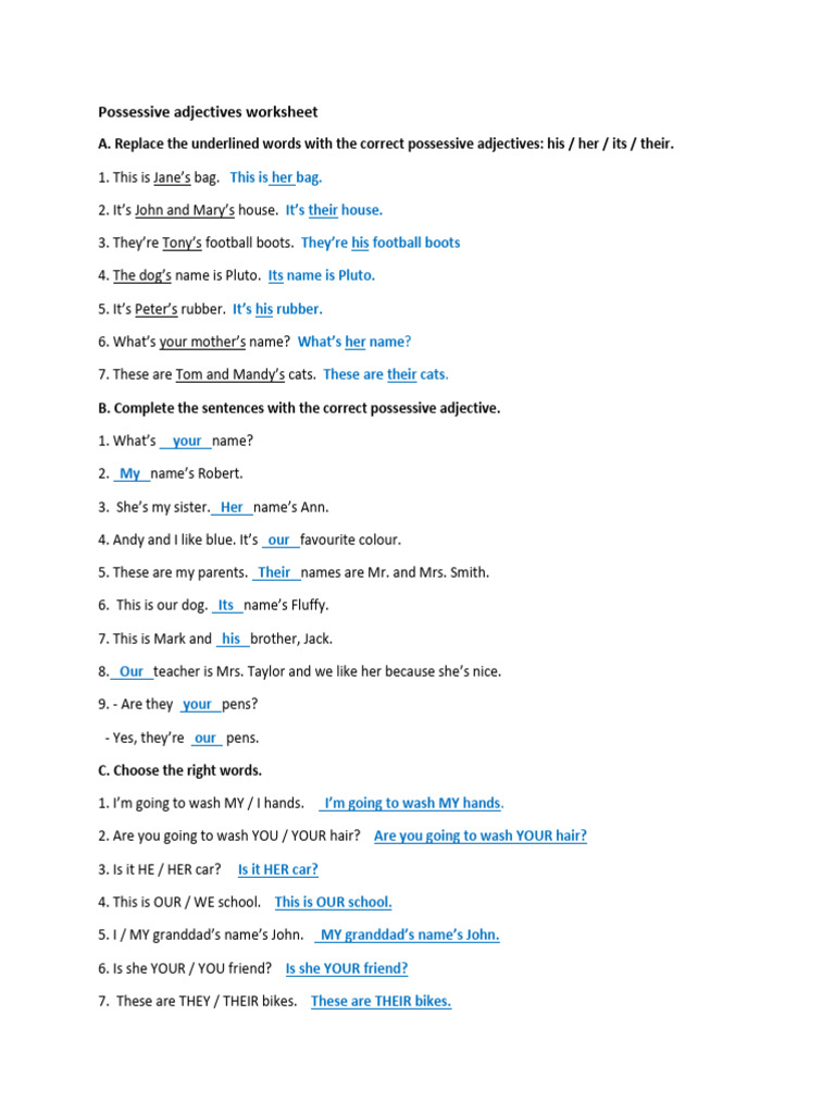 Possessive Adjectives Worksheet | PDF