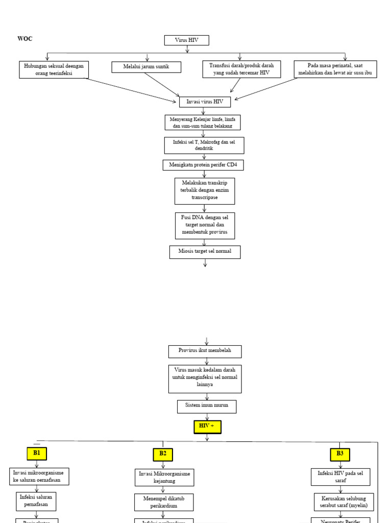 WOC HIV Purnadi Nakalelu S-1 Keperawatan Tingkat 2A | PDF