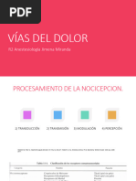 Escala Cpot | PDF