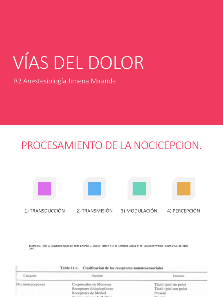 Vías Del Dolor | PDF | Dolor | Fisiología