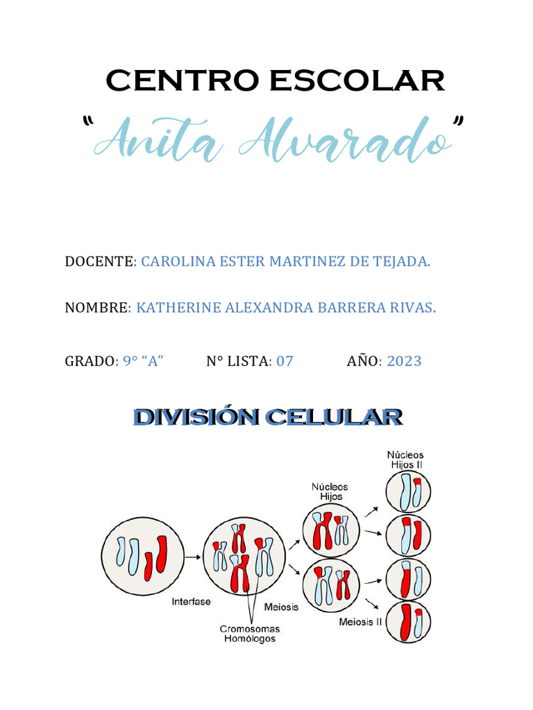 División Celular | PDF | Mitosis | Procesos celulares